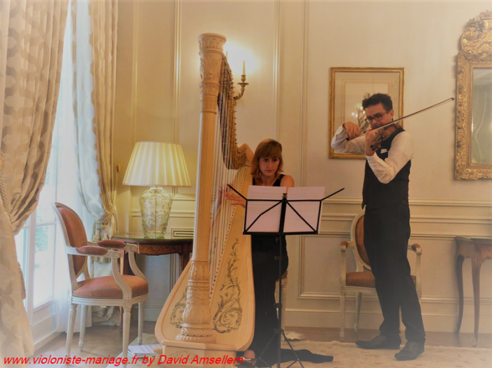 Un violoniste pour anniversaire